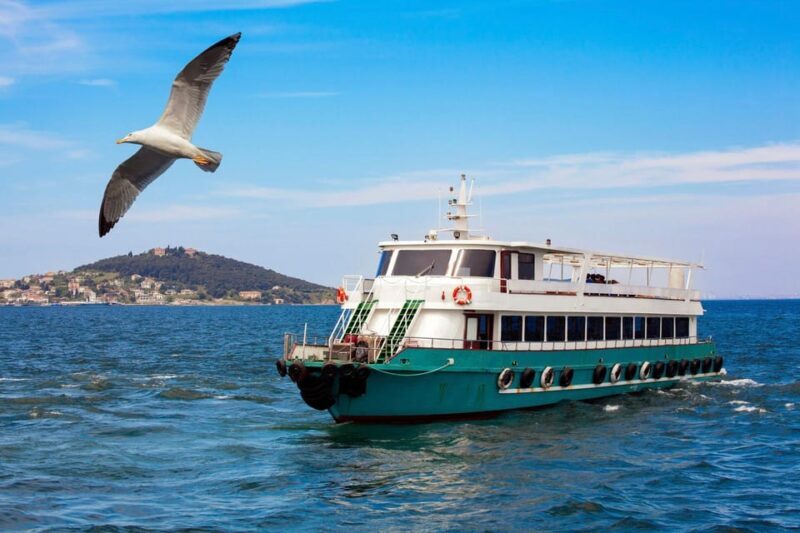Istanbul: Bosphorus Strait Sightseeing Cruise & Audio Guide - The Authentic Touch: What Travelers Say