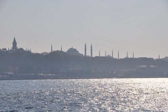Istanbul Bosphorus Tour With Whirling Dervish Show - Who Should Book This Tour?