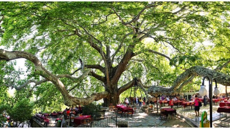 Istanbul: Bursa and Uludag Mountain Day Trip with Cable Car - Key Points