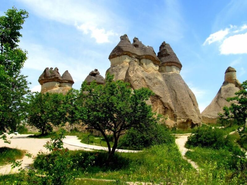 Istanbul: Cappadocia Guided Full=Day Trip by Plane - What’s Included and What’s Not