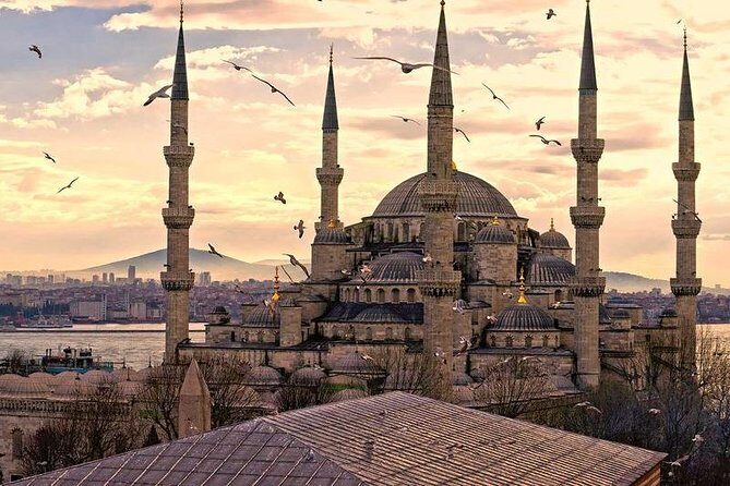 Istanbul Classics and Bosphorus Cruise Private Tour - Authentic Experiences and Reviews