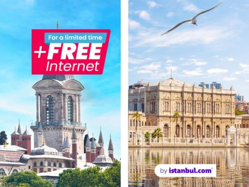 Istanbul Combo: Topkapi Palace & Dolmabahce Palace - What Makes This Tour Stand Out?