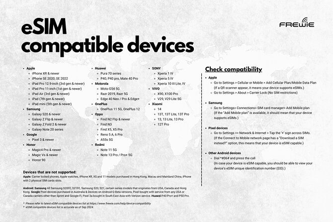 Istanbul Data eSIM (Instant Delivery) - What to Expect During Setup