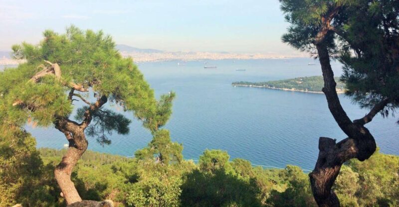 Istanbul: Day Trip to the Princes' Islands - Key Points