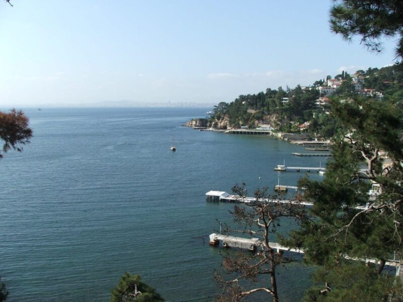 Istanbul: Day Trip to the Princes' Islands - What to Expect on the Tour