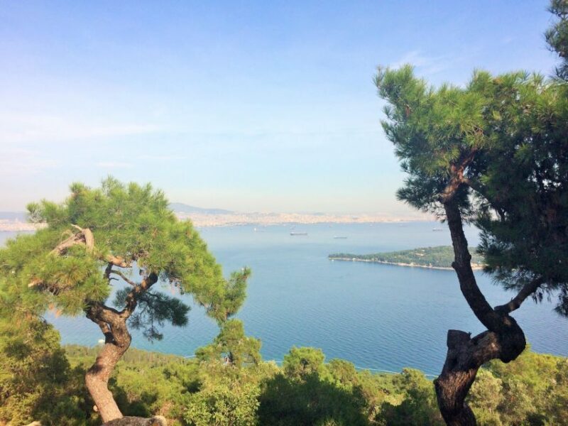 Istanbul: Day Trip to the Princes' Islands - Who Will Love This Tour?