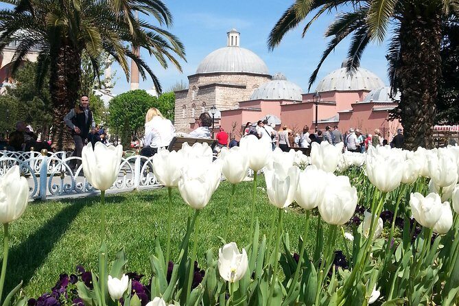 Istanbul Delights: A Journey Through Flavor and History - Culinary Pleasures in the Old City