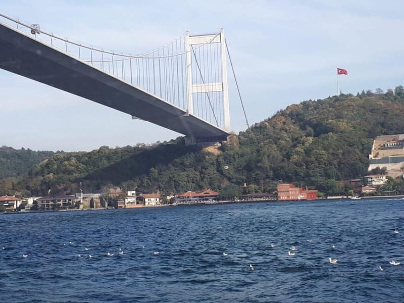 Istanbul: Full-Day City Tour with Bosphorus Cruise and Lunch - Introduction