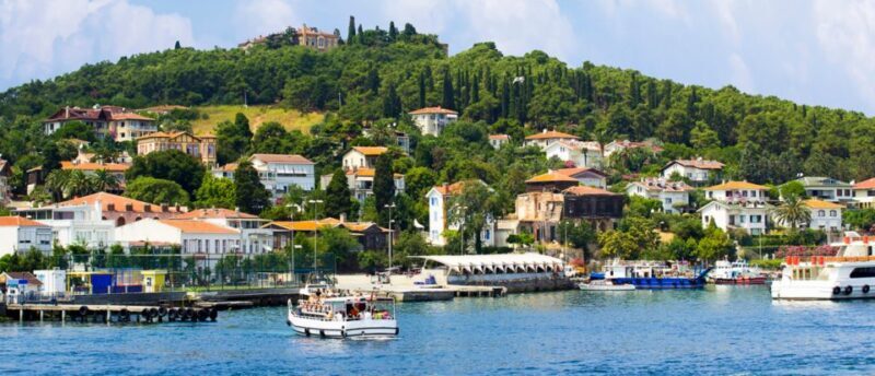 Istanbul: Full Day Princes Islands Guided Tour with Lunch - Key Points