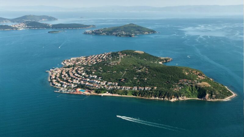 Istanbul: Full Day Princes Islands Guided Tour with Lunch - Continued to Büyükada