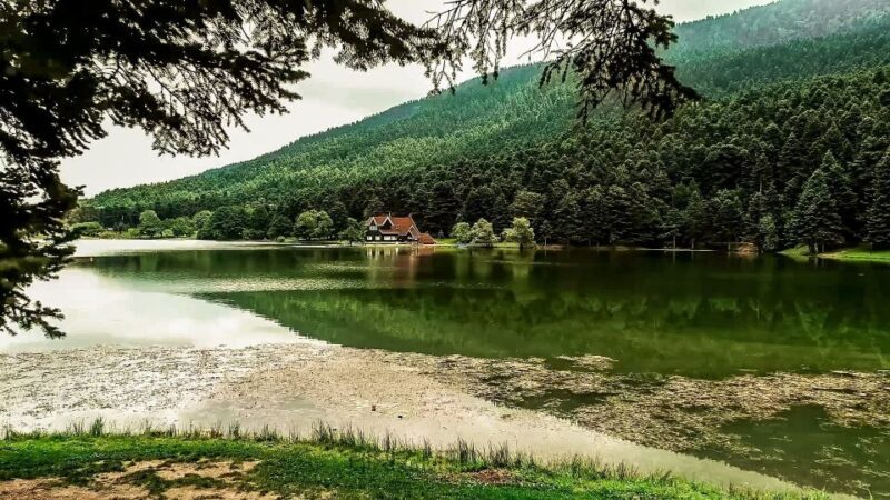 Istanbul: Full-Day Sapanca Lake and Masukiye Tour with Lunch - The Value of This Tour