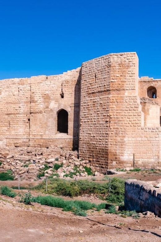 Istanbul: Gobeklitepe and Harran Day Trip - Transportation: Comfort and Convenience