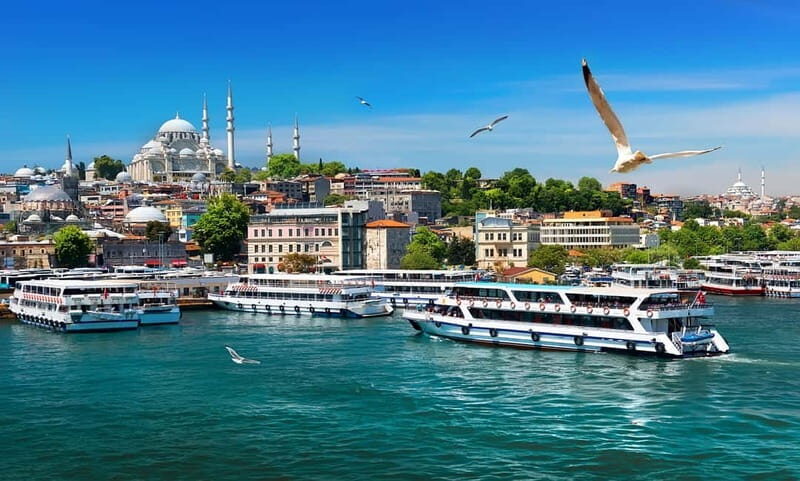 Istanbul: Guided Bosphorus Cruise & Golden Horn Bus Tour - Key Points