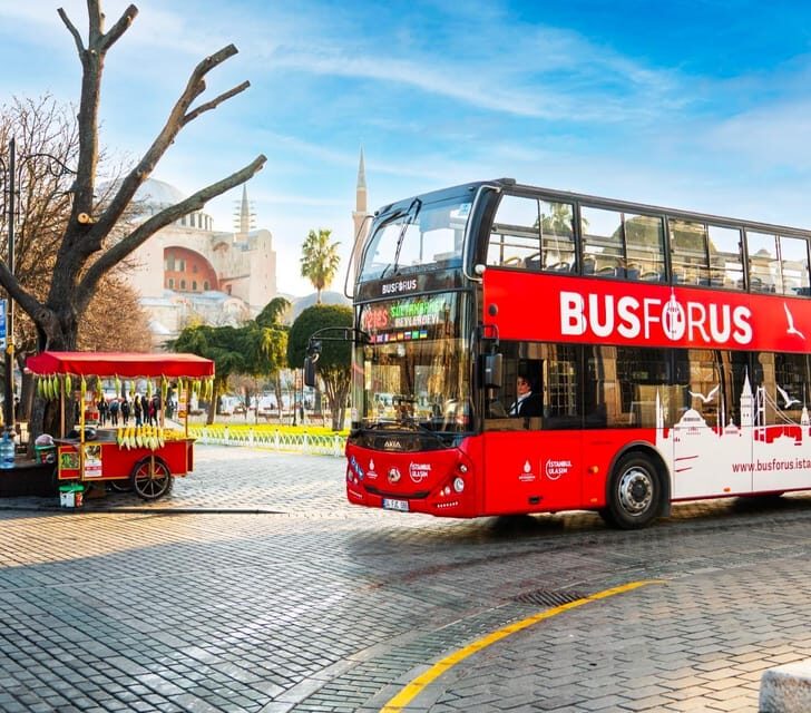 Istanbul: Hop-On Hop-Off Bus Ticket - Cost-Effectiveness and Value