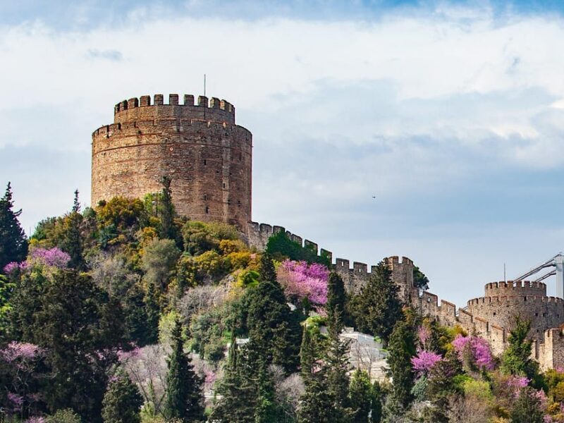 Istanbul: Morning or Sunset Cruise with Guide and Snacks - Key Points