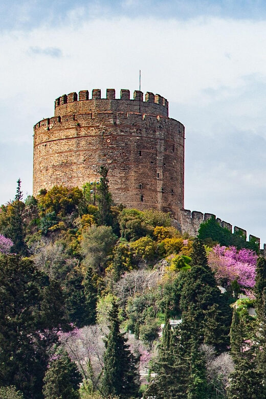 Istanbul: Morning or Sunset Cruise with Guide and Snacks - Discovering the Full Experience