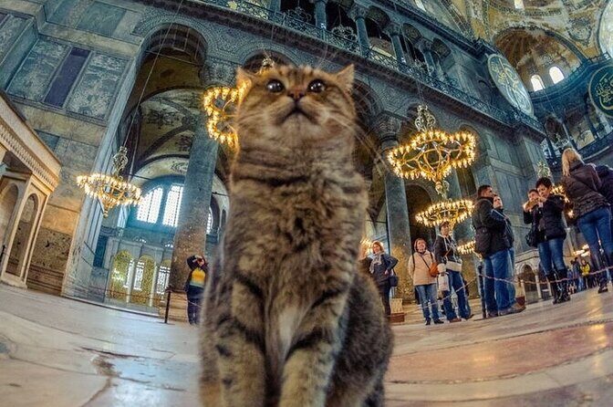 Istanbul Old City Tour - FAQ
