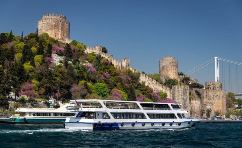 Istanbul: Old Town Tour and Bosphorus Lunch Cruise - Practical Details and Value