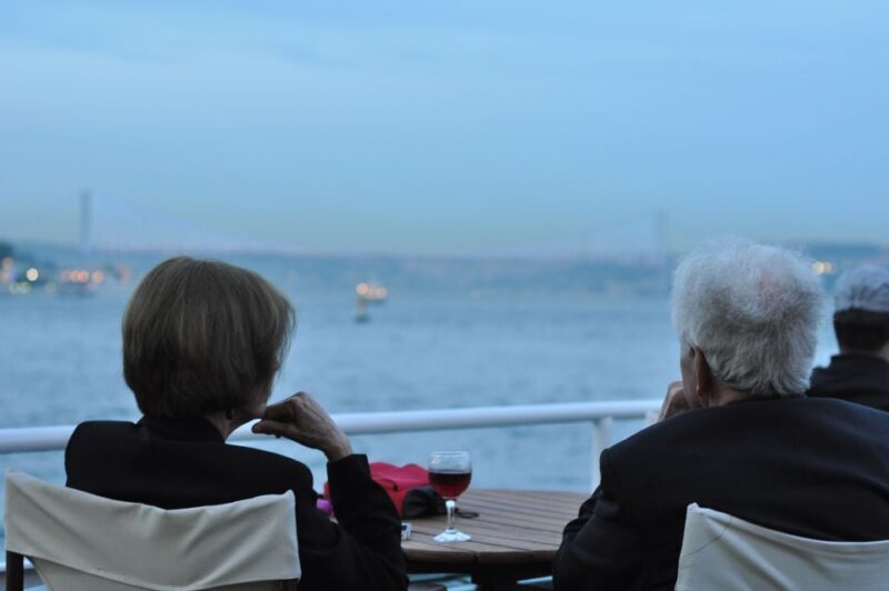 Istanbul: Pasha Istanbul Dinner Cruise - The Itinerary: What to Expect on the Bosphorus Night