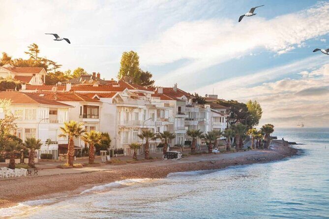 Istanbul Princes Islands Boat Trip with Lunch - Practical Tips for Making the Most of Your Trip