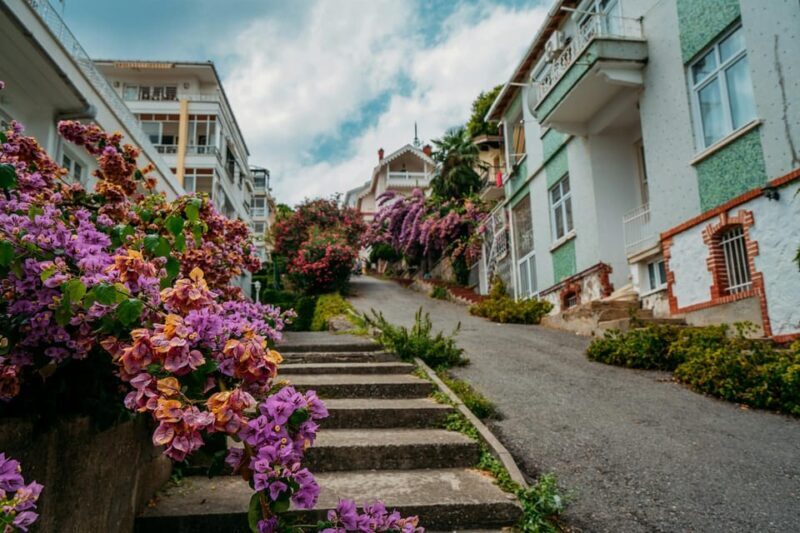 Istanbul: Princes Islands Walking Full-Day Tour - Key Points