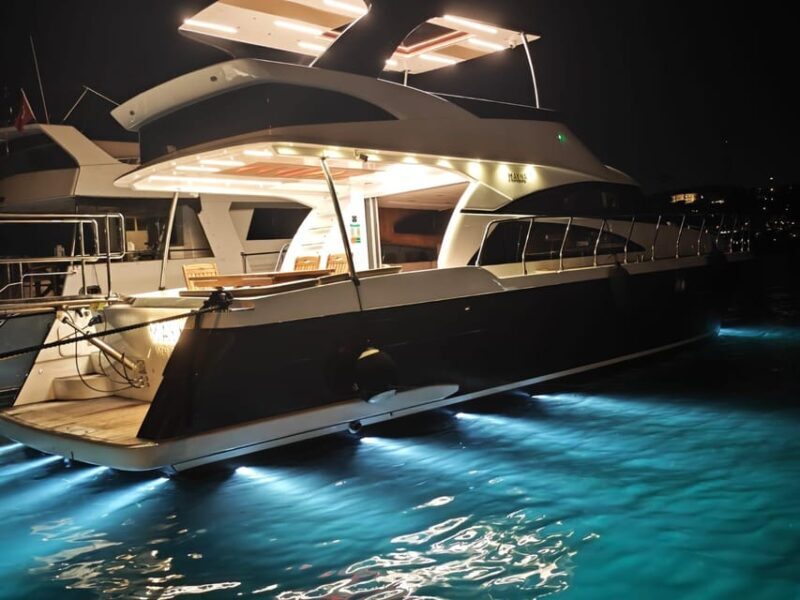 Istanbul: Private Bosphorus Yacht with Tour Guide and Snacks - Guides and Personalized Service