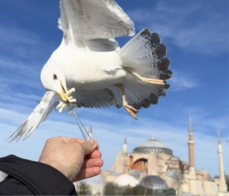 Istanbul: Private City Tour with Transportation - The Pros and Cons