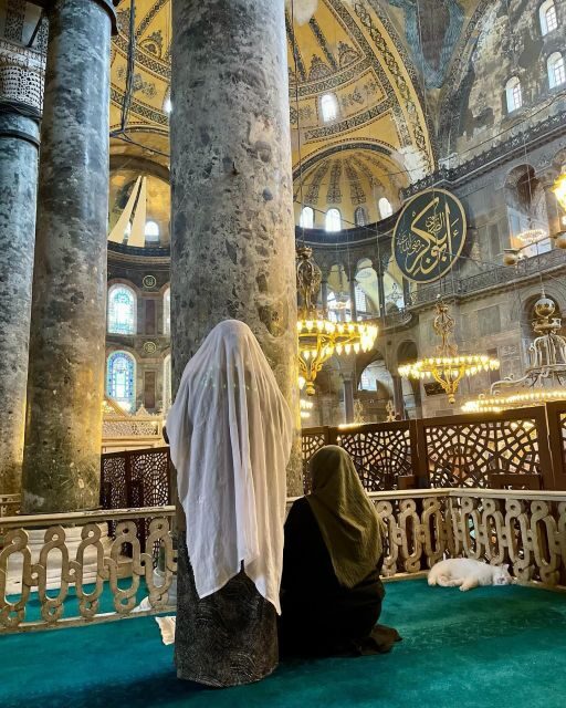 Istanbul Private Full-Day Highlights Tour with Guide - An In-Depth Look at the Tour Experience