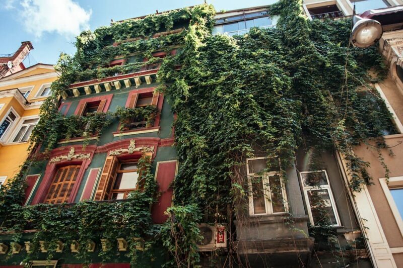 Istanbul: Private Guided Food Tour with 10 Tastings - Why the Food Is Special