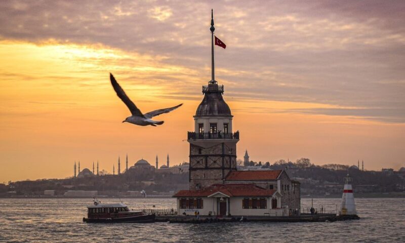 Istanbul : Private & Small Group Shore Excursions with TRAM - Who Will Love This Tour?