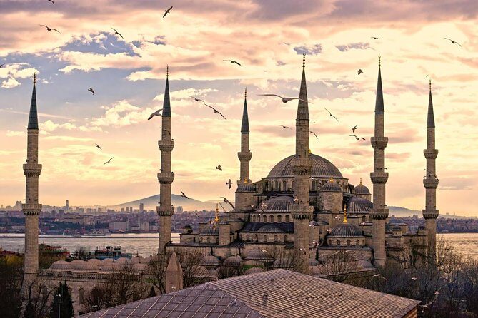Istanbul private tour with skip line tickets included - Exploring Istanbul With a Private Tour: Authentic, Comfortable, and Fully Customizable