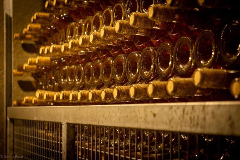 Istanbul: Private Wine Tasting Day Trip to Tekirdag - Key Points