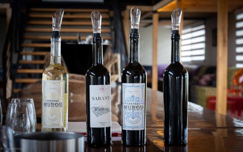 Istanbul: Private Wine Tasting Day Trip to Tekirdag - Who Is This Tour For?