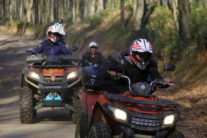 Istanbul Quad Bike Safari with Optional Zipline Experience - A Deeper Look at the Experience