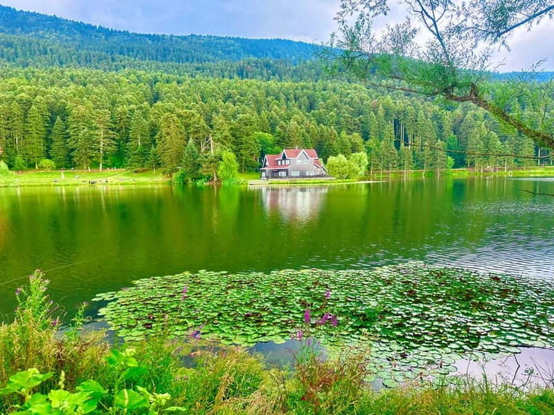 Istanbul: Sapanca, Bolu, Safranbolu and Amasra guided tour - Authentic Experiences and Traveler Feedback