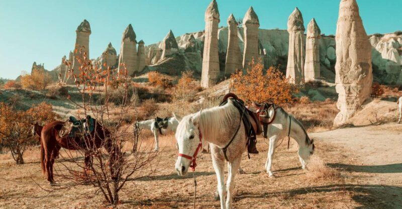 Istanbul to Cappadocia All Inclusive Private Day Tour - Who Would Love This Tour?