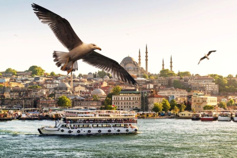 Istanbul: True Discovery Full-Day Tour and Cruise - Exploring Istanbul in a Nutshell