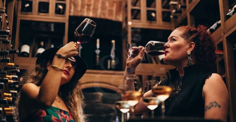Istanbul: Wineries Tour with a Private Sommelier - Discovering Istanbul’s Hidden Wine Treasures