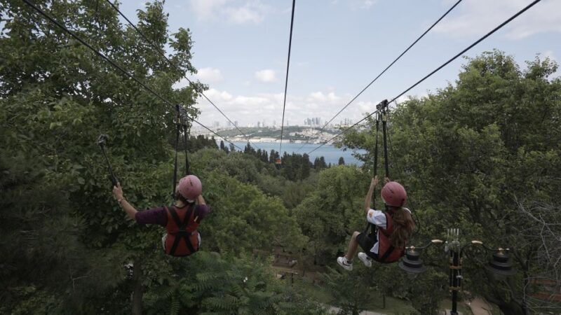 Istanbul: Zipline Adventure with Bosphorus View - What to Expect from the Istanbul Bosphorus Zipline