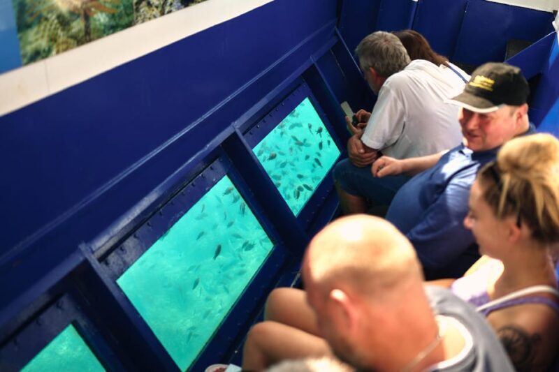 Istria: Aquavision Glassboat panoramic tour of Umag - Price and Value