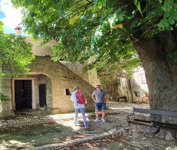 Istria: Guided Tour of Inner Istria with Food Tasting - Possible Drawbacks