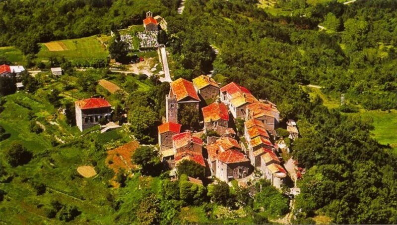 Istria Highlights Tour from Rijeka or Pula - A Deep Dive into the Istria Highlights Tour