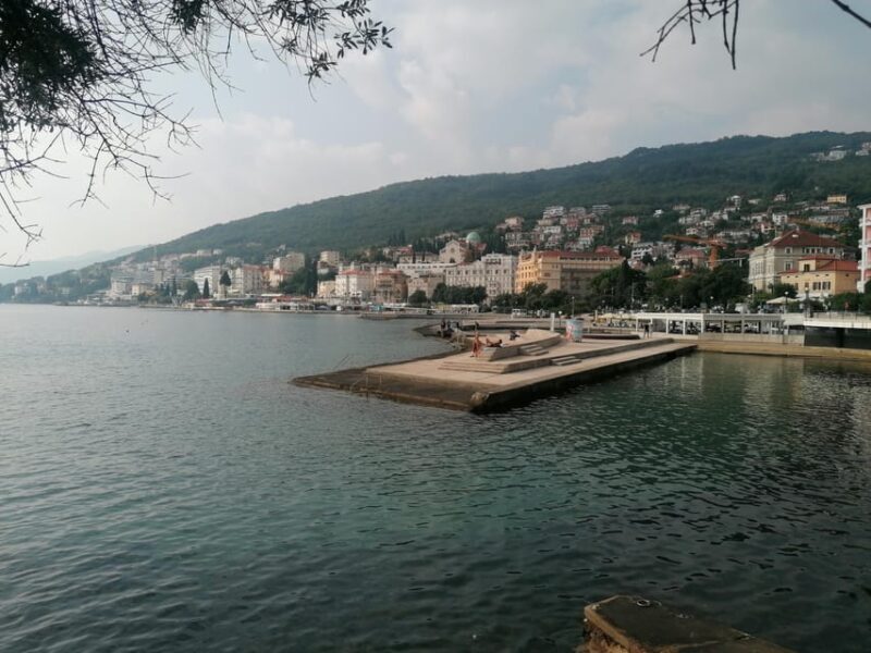 Istria in One Day: Private Tour with Wine & Oil Tasting - Key Points
