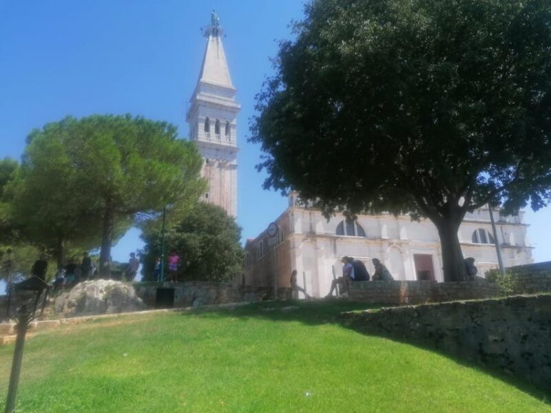 Istria in One Day: Private Tour with Wine & Oil Tasting - Authentic Experiences and Traveler Insights