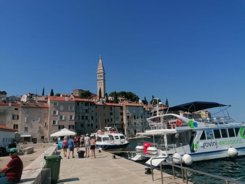 Istria in One Day: Private Tour with Wine & Oil Tasting - The Sum Up: Who Should Consider This Tour?