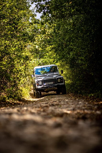 Istria: Land Rover Off-Road Adventure with Tastings - The Sum Up