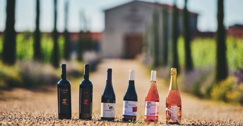 Istria: Pervino wine tasting - An Authentic Slice of Istria in Novigrad