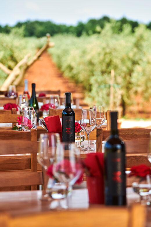 Istria: Pervino wine tasting - The Wines and Food