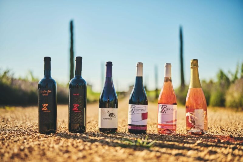 Istria: Pervino wine tasting - Who Should Book This Experience?