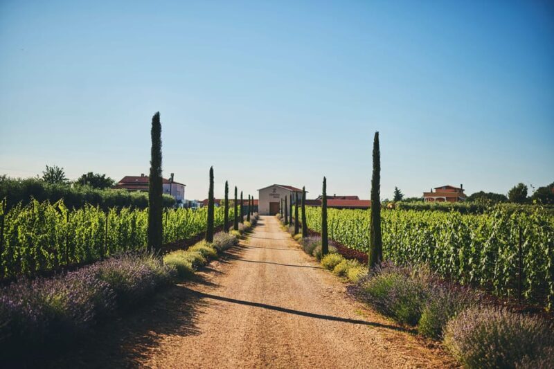 Istria: Pervino wine tasting - Final Words